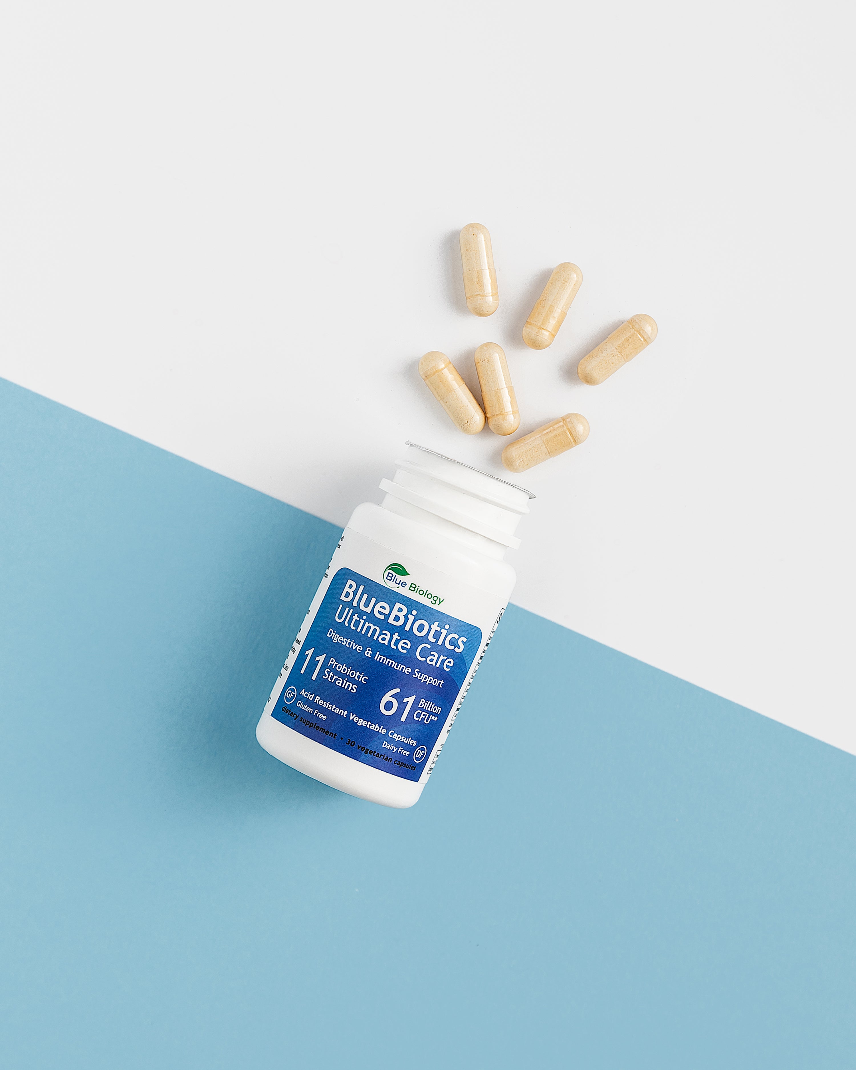 Enteric Coated Probiotics: Why Enteric Coating is So Important ...